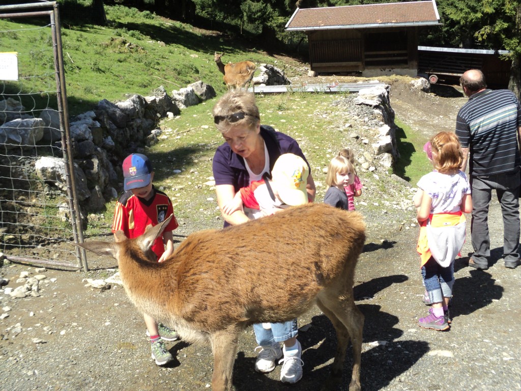 Der Alpenwildpark in Obermaiselstein - Touren für die ganze Familie