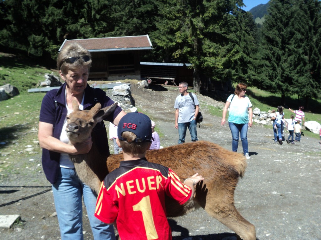 Der Alpenwildpark in Obermaiselstein - Touren für die ganze Familie